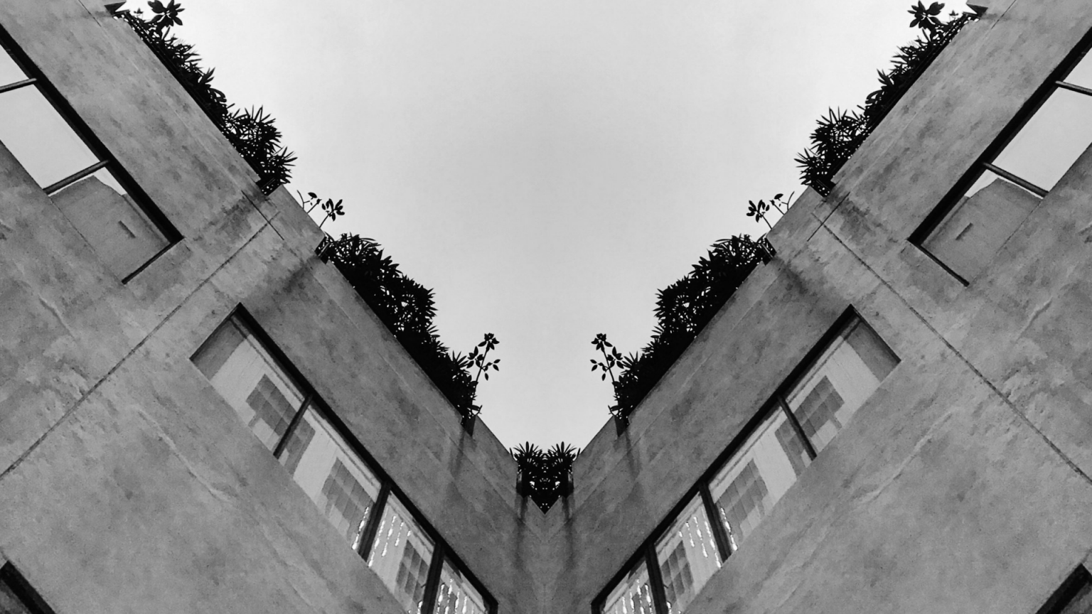 Creating A Concrete Effect Wall: What to Know – Roberta Canyon